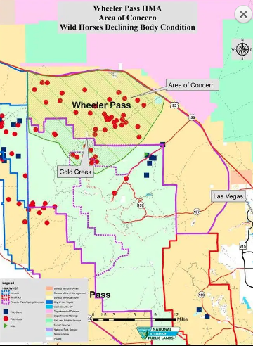 Breaking! Miller Fire Hits Eagle Complex (Update: Mahogany Fire Hits ...