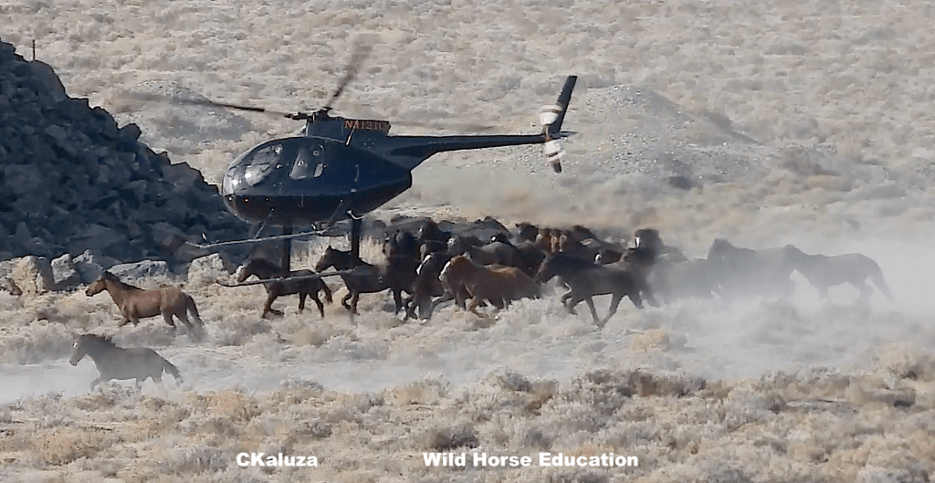 USFS and BLM Motorized Vehicle Hearings: All the show, none of the ...
