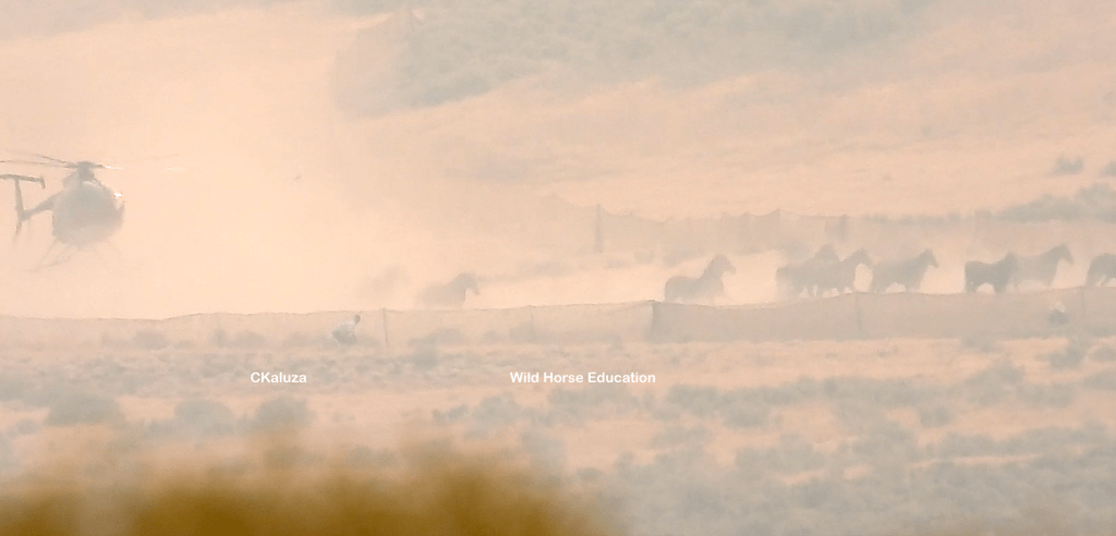 USFS and BLM Motorized Vehicle Hearings: All the show, none of the ...