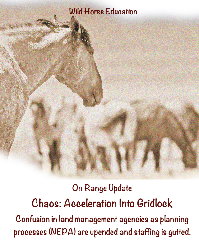 Chaos: Acceleration to Gridlock? (Comment Periods) – Wild Horse Education