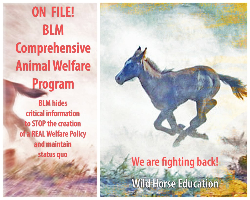 In The Courts: A New Case to Expose Abuse (and other lawsuits moving ...