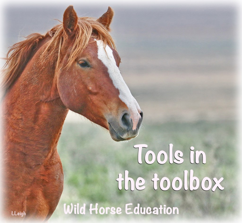 “Tools in the Toolbox” (& the budget debate with action items) – Wild ...
