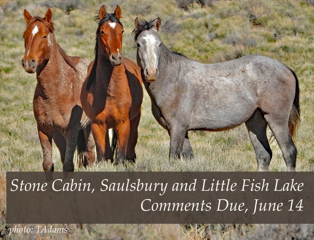 Stone Cabin, Saulsbury and Little Fish Lake Plan Open for Comment ...